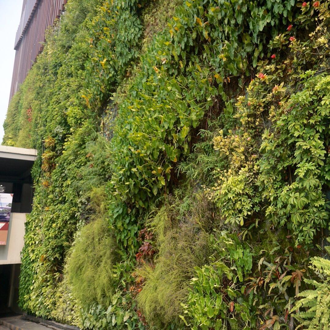 Jasa Tukang Pasang Taman Dinding Vertical Garden Mojokerto - Tiga Putra ...