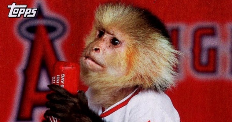 Cardboard History : 30 Day Challenge 31: Show me the Monkey!