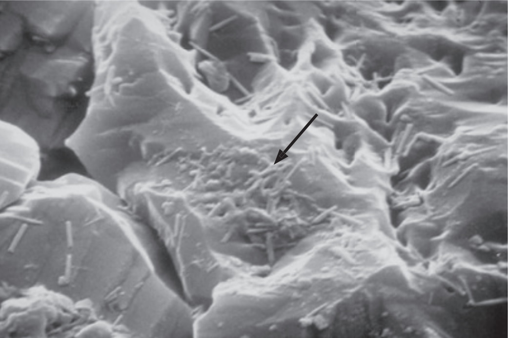 August 2016 ~ Learning Geology