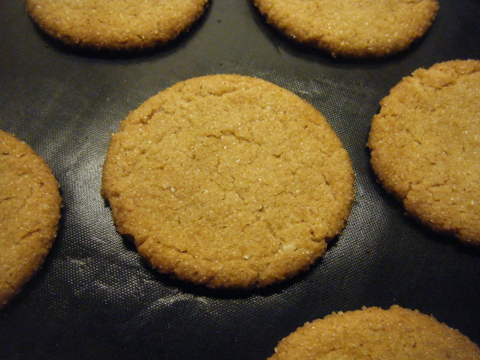 Kage! Kage! Kage!: Juraprofessoren, den confiterede and og de – måske ...