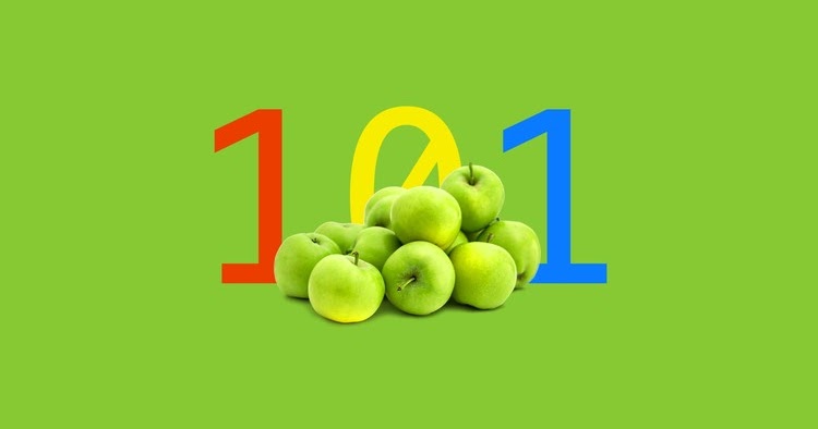Programming 101 Course Bundle Discount Coupon 87 Off
