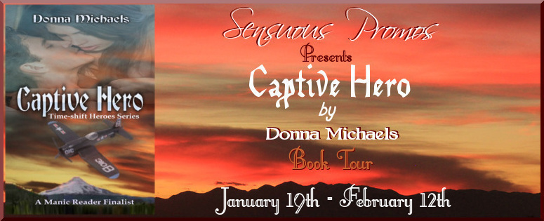 Not Enough Time in the Day: Donna Michaels Book Tour for Captive Hero