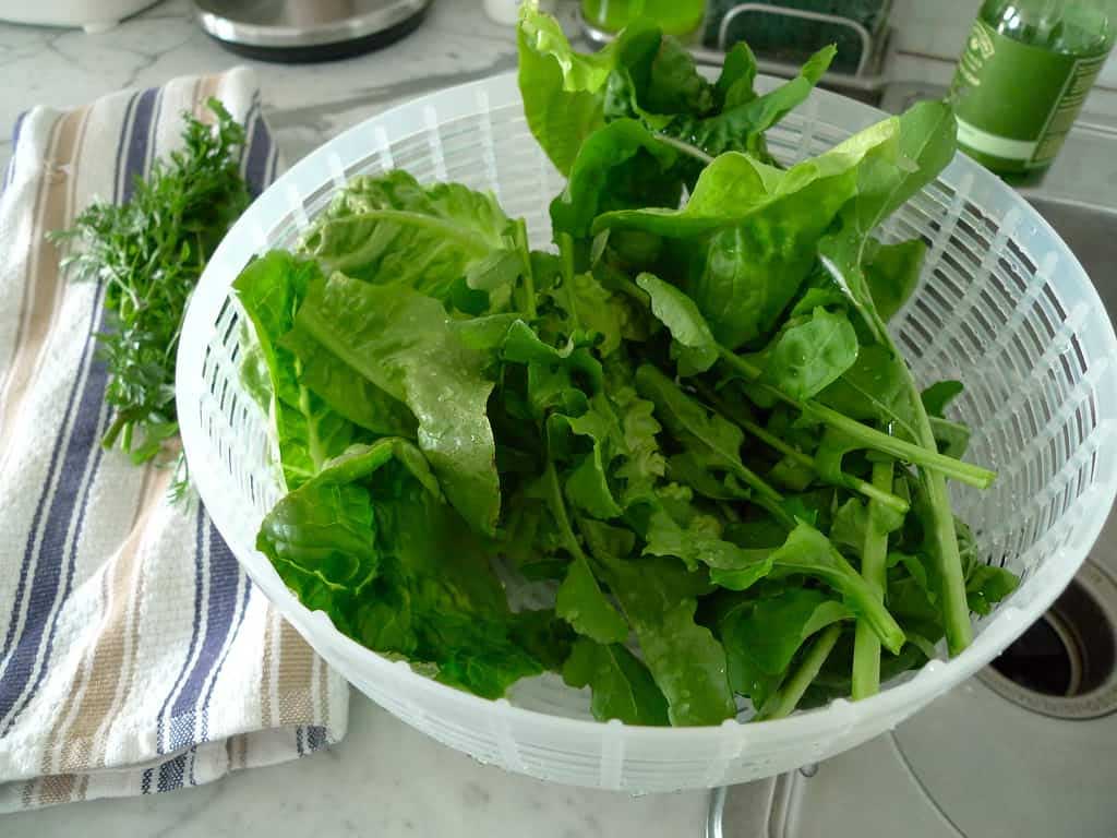 15 Wondrous Health Benefits of Arugula For the Body | Dr Farrah MD