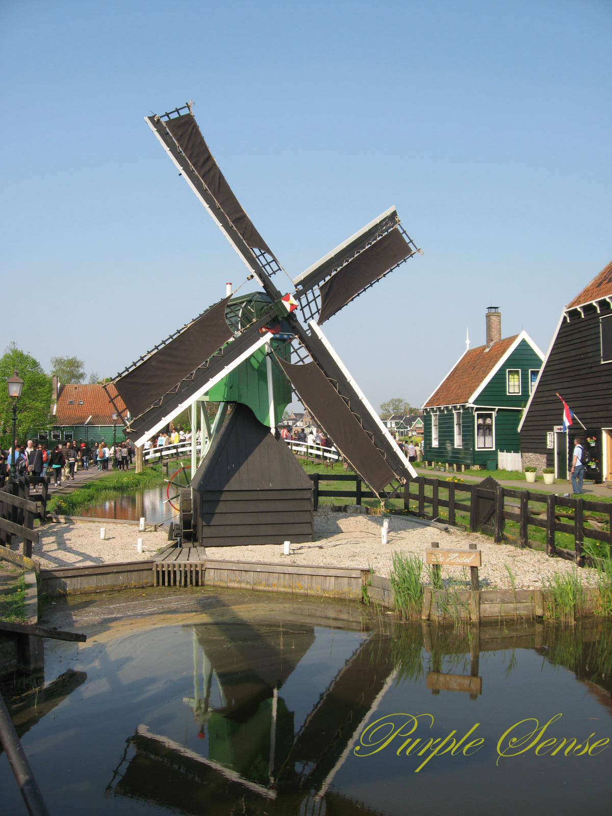 Purple Sense: Вълшебствата на Заансе Сханс