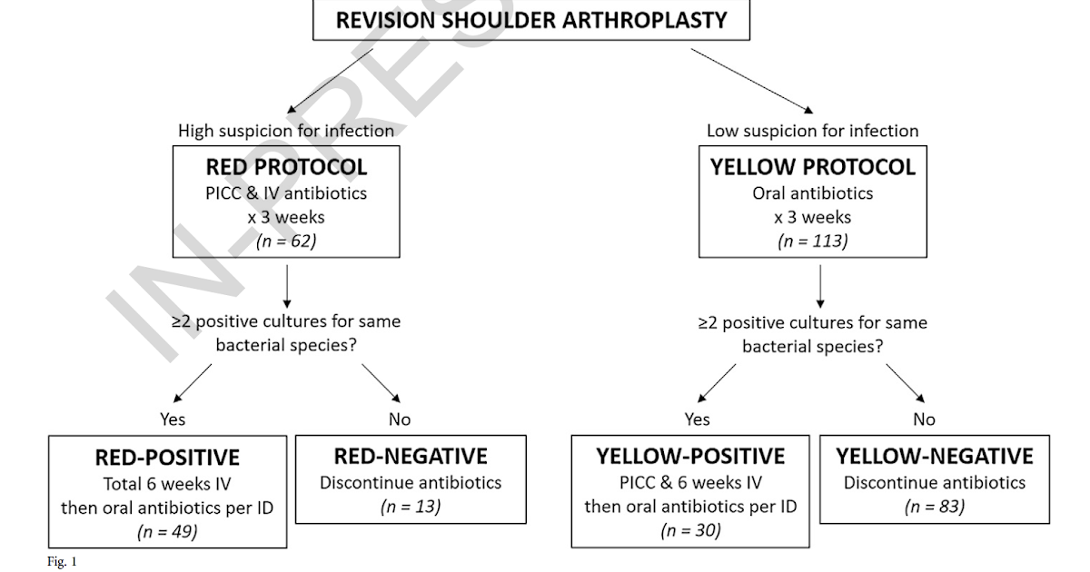 Shoulder Arthritis / Joint Replacement : Antibiotics in suspected ...