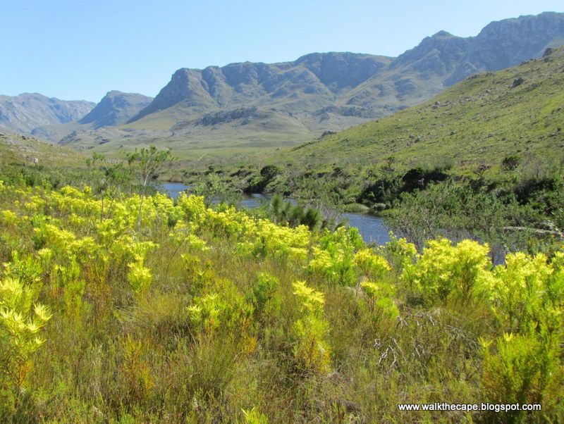 Walking the Cape: Kogelberg: Palmiet River Circle