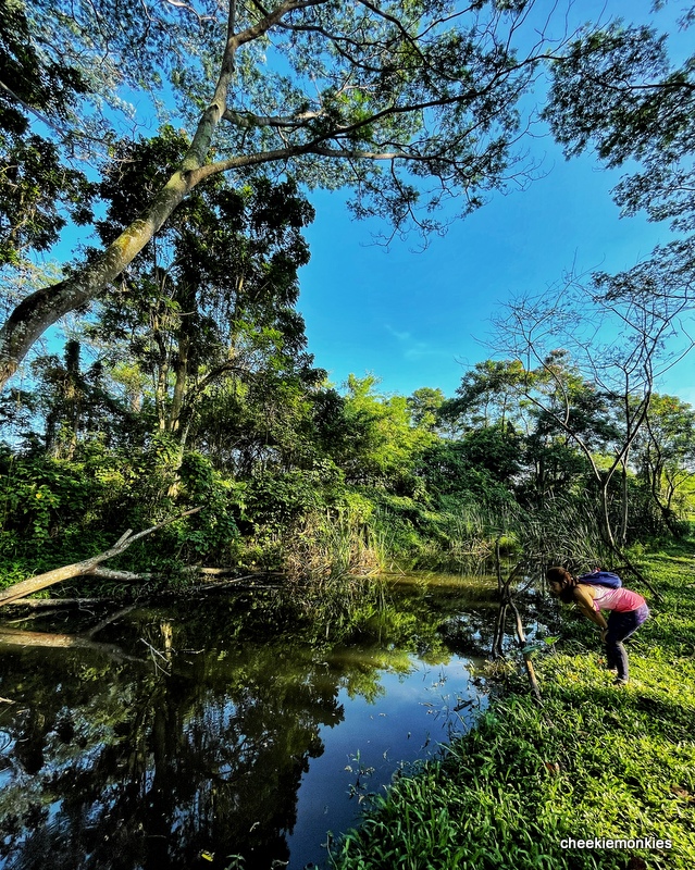 Cheekiemonkies: Singapore Parenting & Lifestyle Blog: [Easy & Gorgeous ...