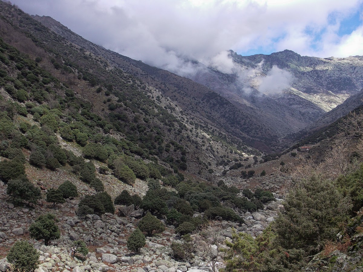ALMANAQUE NATURAL: Los Encinares de Gredos