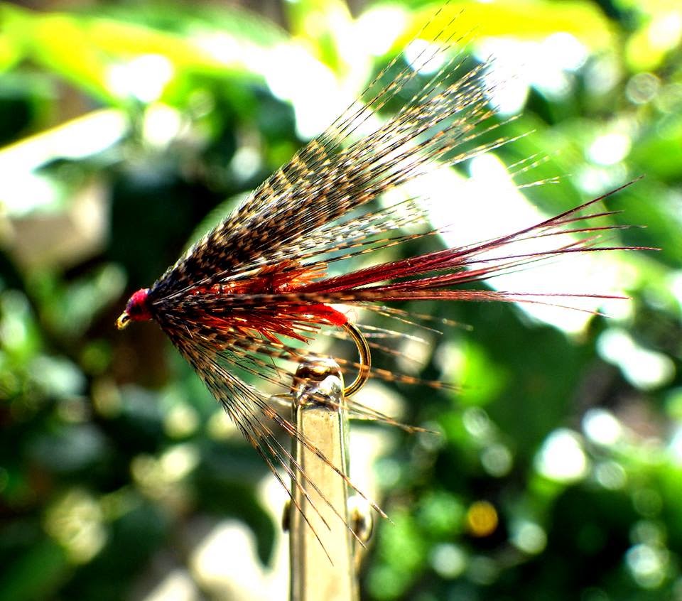 Finney's Flies: June 2014