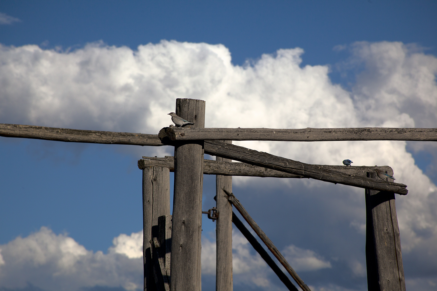 Steve Immel Photography: August 2012