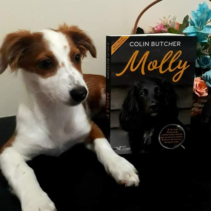 RESENHA MOLLY - COLIN BUTCHER. | Apaixonada por Romances