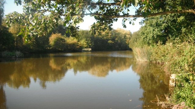 EASTLEIGH RAMBLER: RIVER ANTON WAY, HAMPSHIRE, ENGLAND