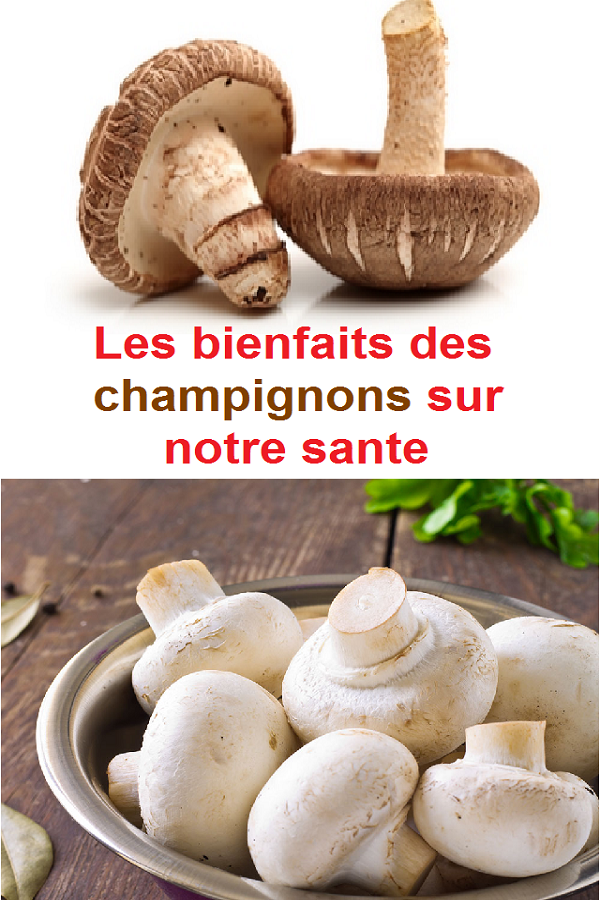 Les bienfaits des champignons sur notre sante ~ Sport et Santé