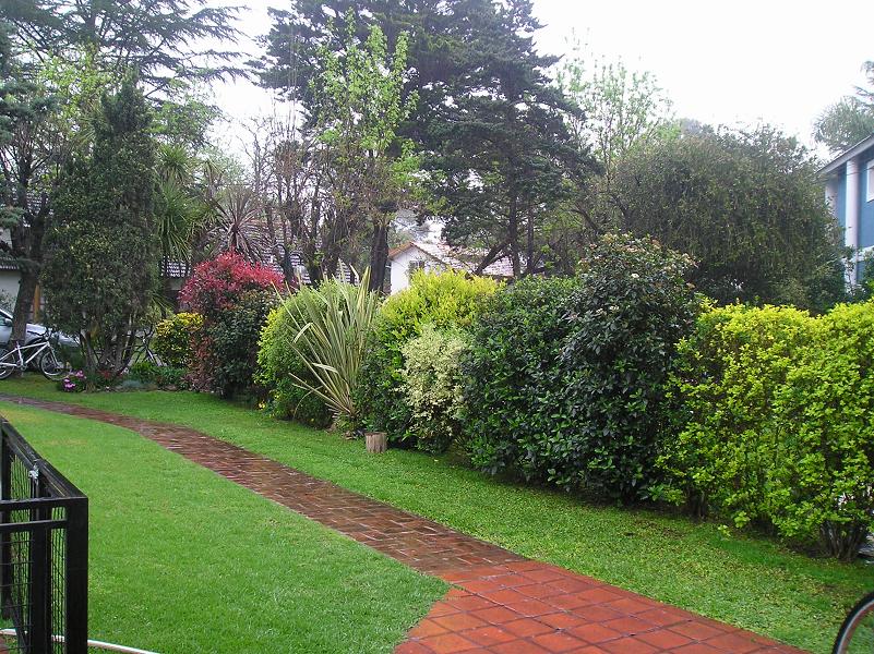 ARTE Y JARDINERÍA : Setos campestres: hermosos y útiles