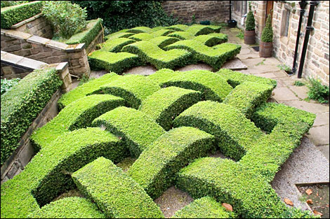 Content in a Cottage: Lattice Pie Crust and Lattice Hedges