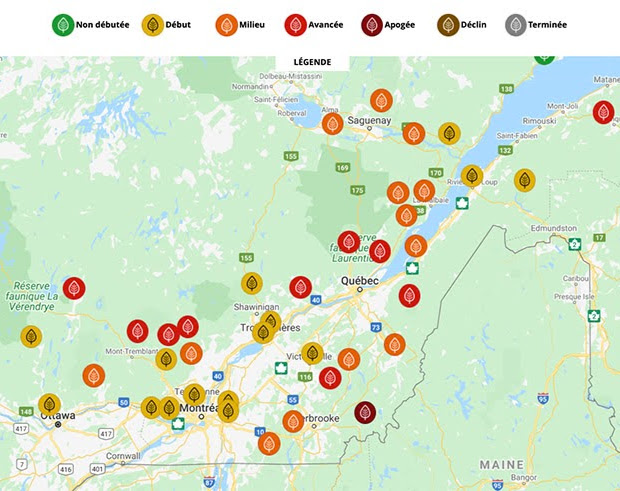 Automne au Québec: Meilleure période pour observer les couleurs