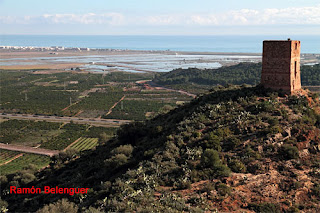 BICHOS Y MAS VLC: DE PASEO POR ALMENARA: EL CASTILLO