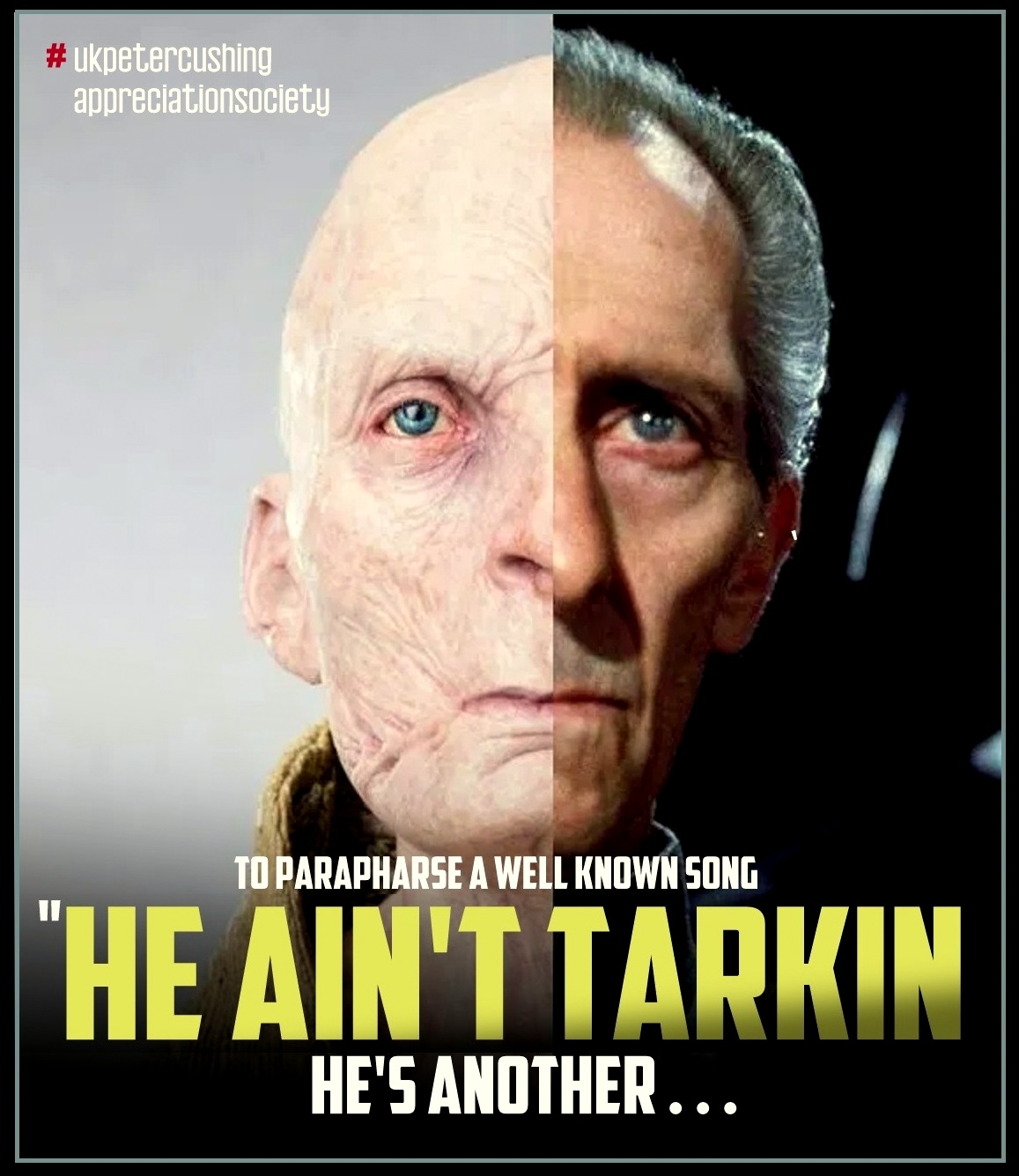 PETERCUSHINGBLOG.BLOGSPOT.COM (PCASUK): HE AIN'T TARKIN, HE'S ANOTHER ...