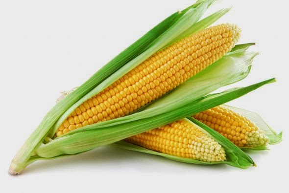 Elote ~ Canasta Básica