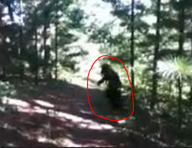 RMSO Bigfoot: North Michigan Bigfoot Video