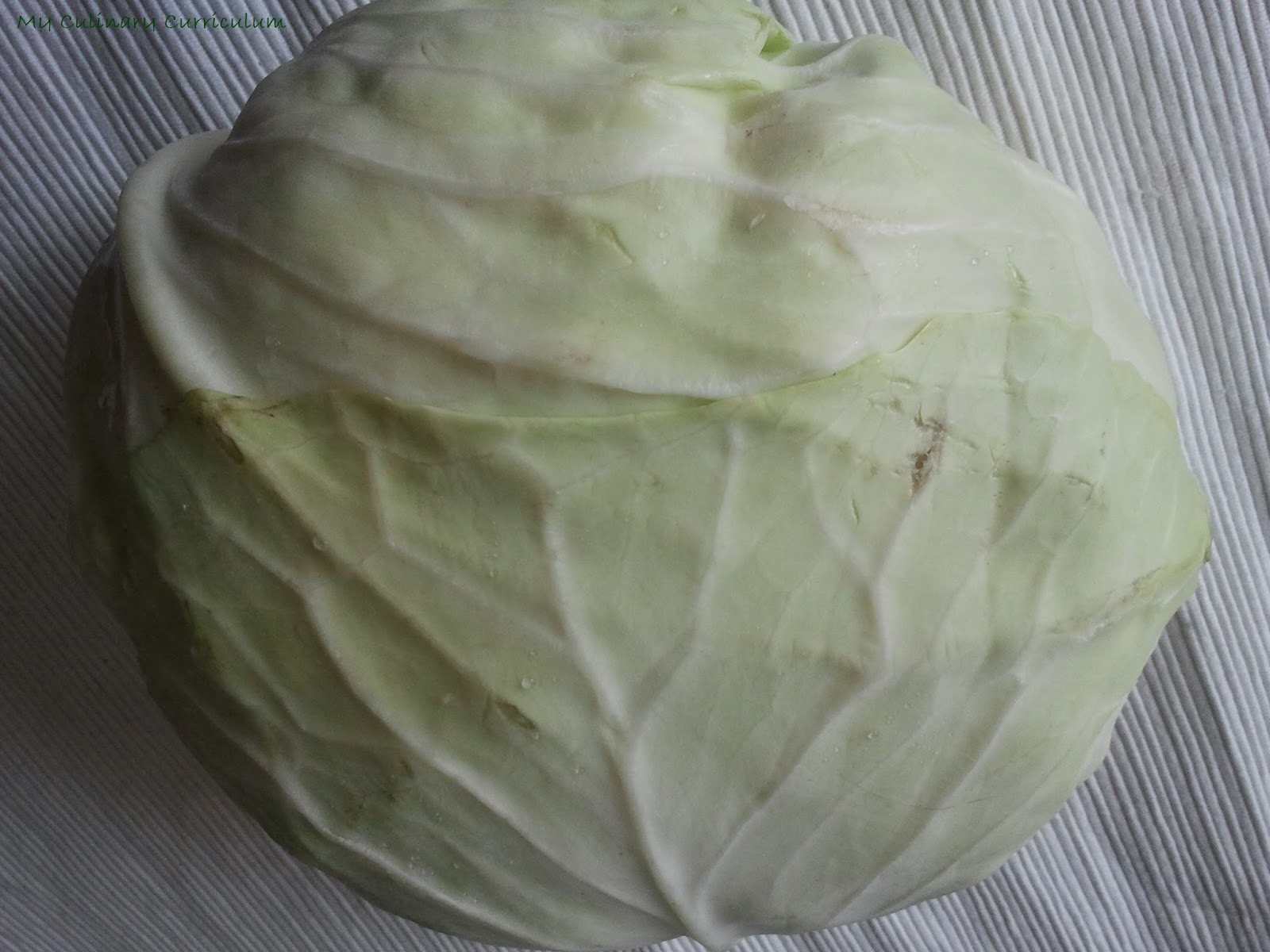 My Culinary Curriculum: Choudou ou chou plat braisé aux lardons ...