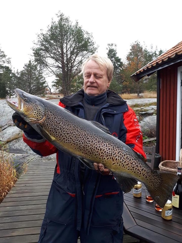 Frasses fiskmontering: öring