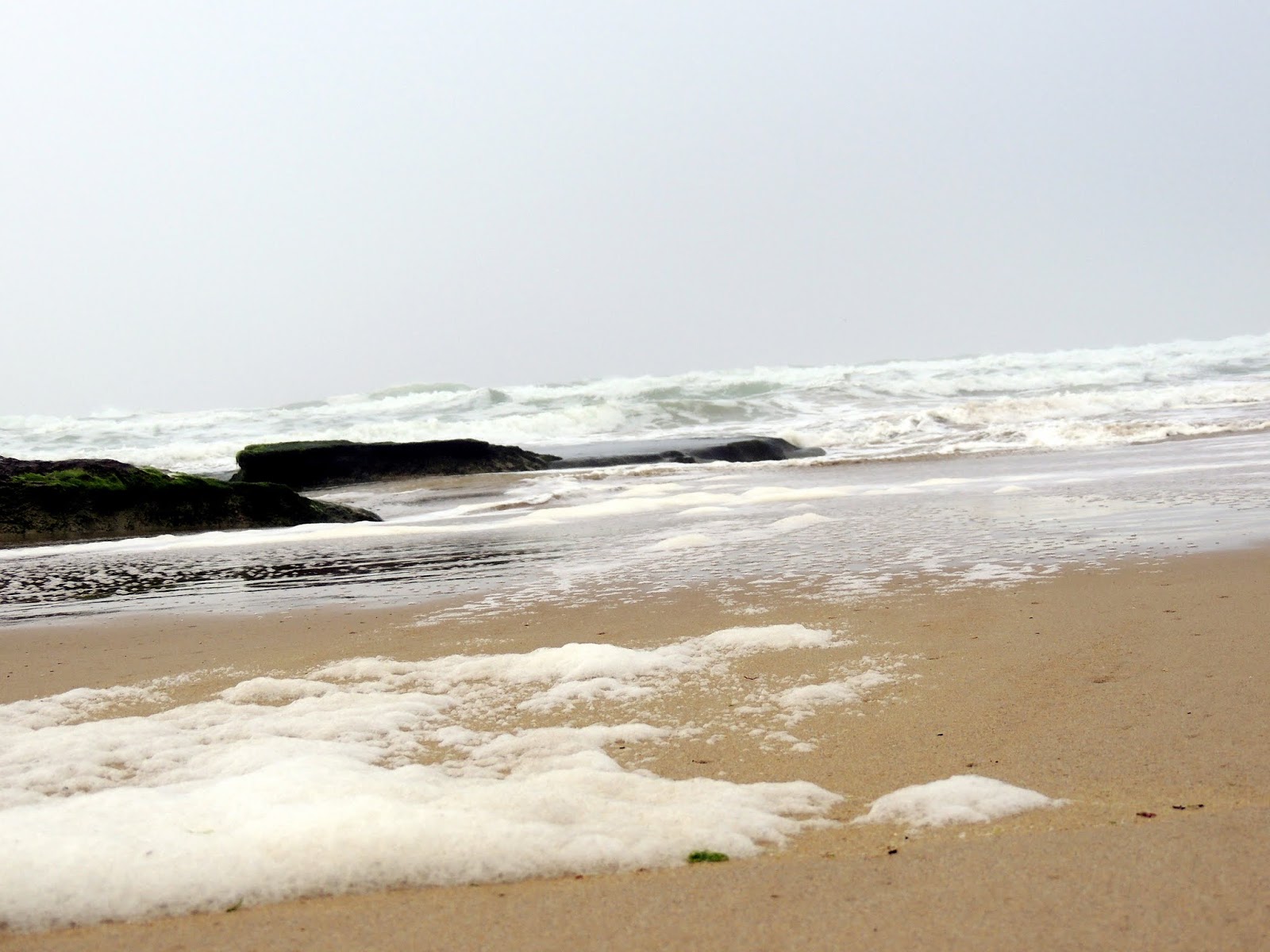 Salalah - Dhofar region in Sultanate of Oman: Dhalkut - Salalah ...