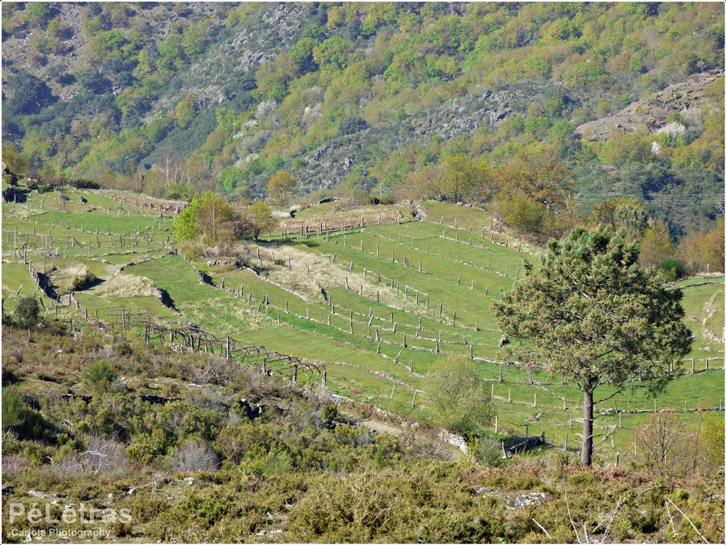 PéLetras: Serra Amarela: PR5 Trilho entre Ambos-os-Rios à Ermida