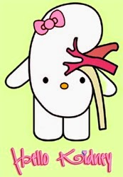 Confessions of a Holiday Junkie!: A Hello Kidney Cake... A Special ...