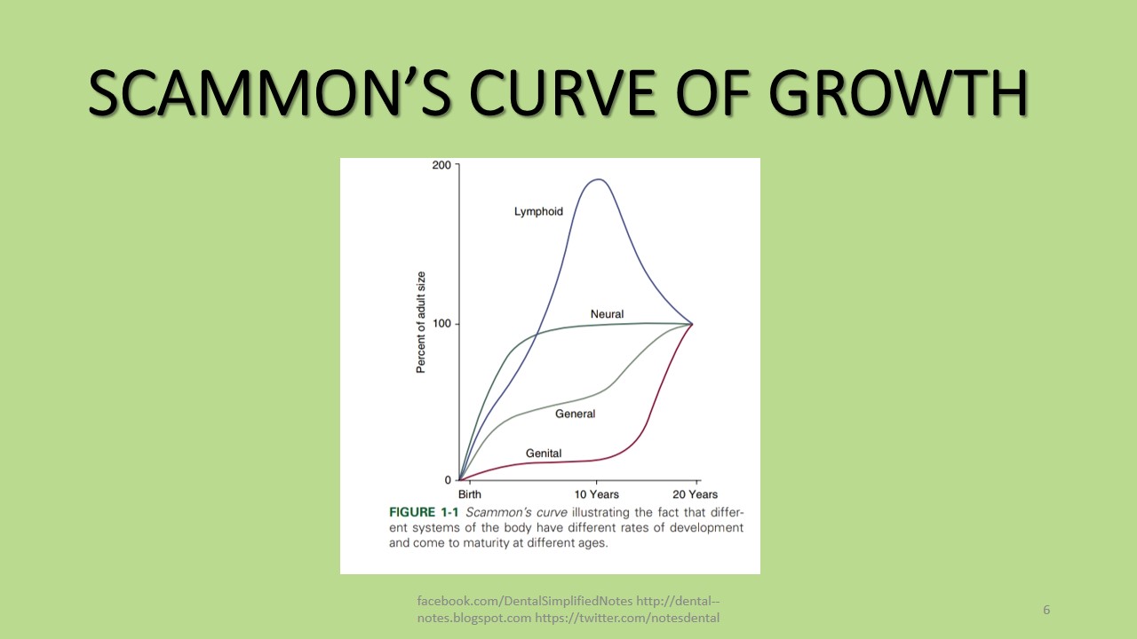 Dental Notes: Scammon’s Curve Of Growth NOTES