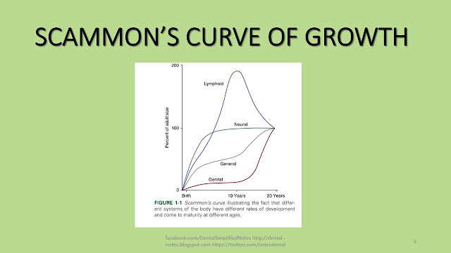 Dental Notes: Scammon’s Curve Of Growth NOTES