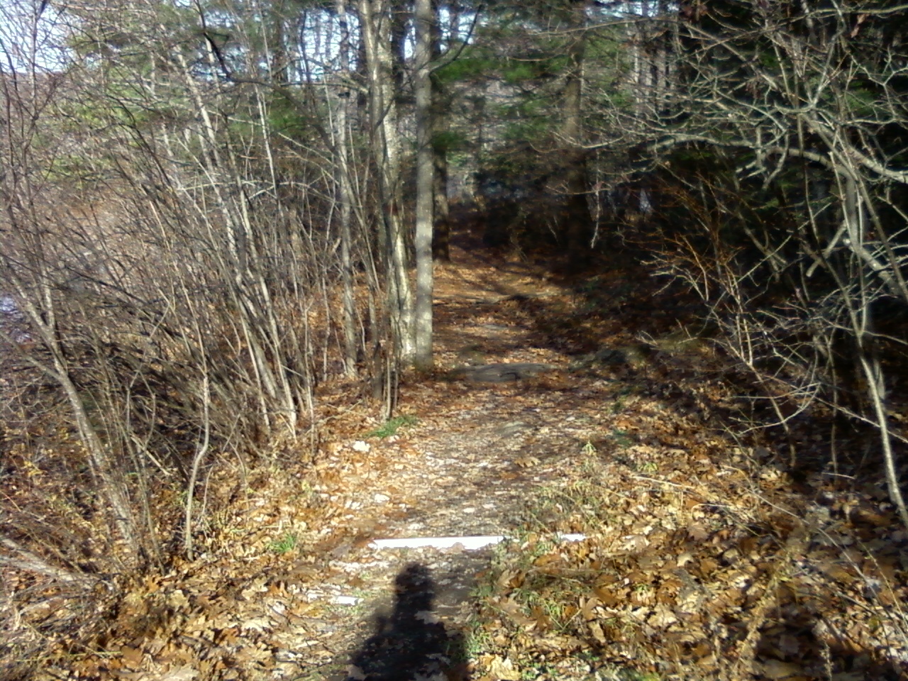 Just a few of my favorite short, overlooked hiking/nature trails in the ...