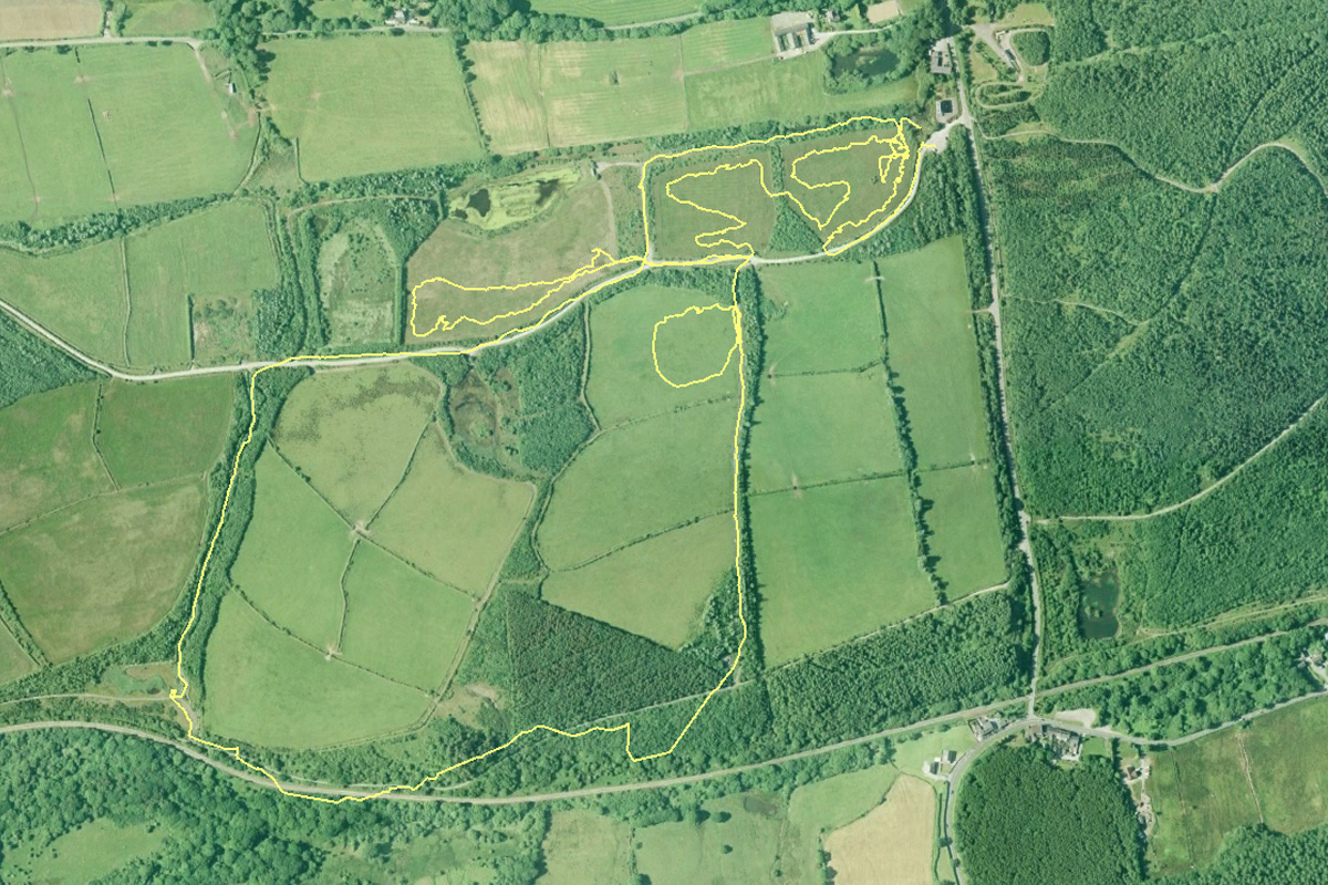 Bombus sylvarum 2013: Parc Slip