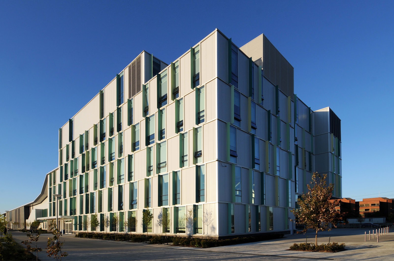 Across Borders: Kavishkumar Bhekharee (Mauritius) - Civil Engineering