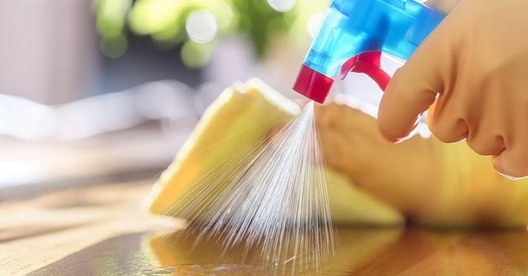 Importance of Periodic Cleaning by Professional Cleaners at Present Times