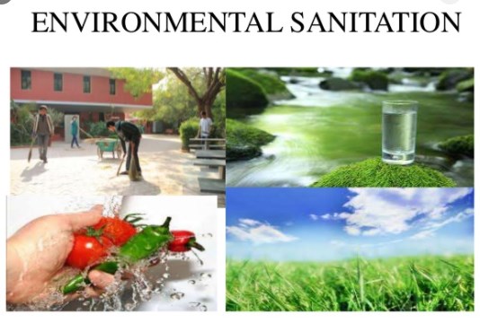 Info about environmental sanitation