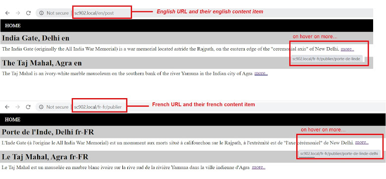 How to create dynamic language-specific URLs using Display Name in Sitecore? - {#}Codebrary