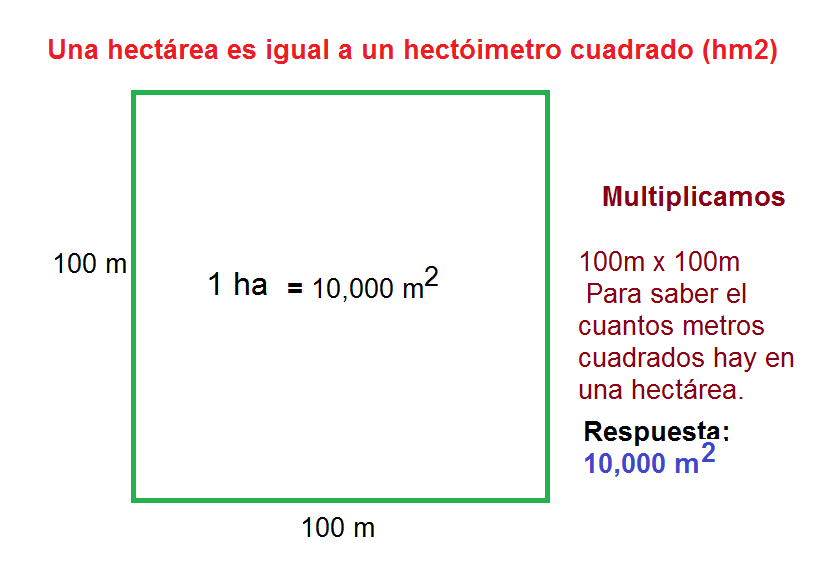 QUINTO GRADO : MIÉRCOLES 14 DE ABRIL DEL 2021