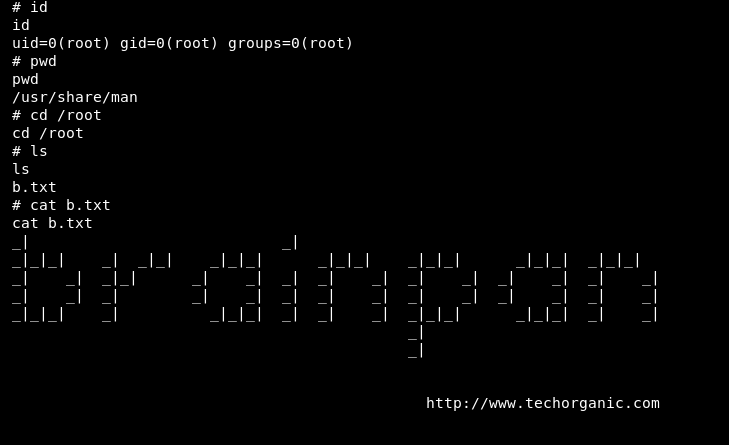 JagSkap: BRAINPAN - Buffer Overflow