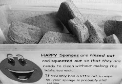 Happy Sponges: Project Ideas
