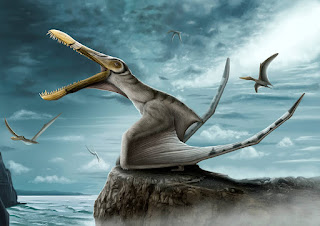 Mundo Pré-Histórico: Anhanguera, um antigo espírito voador