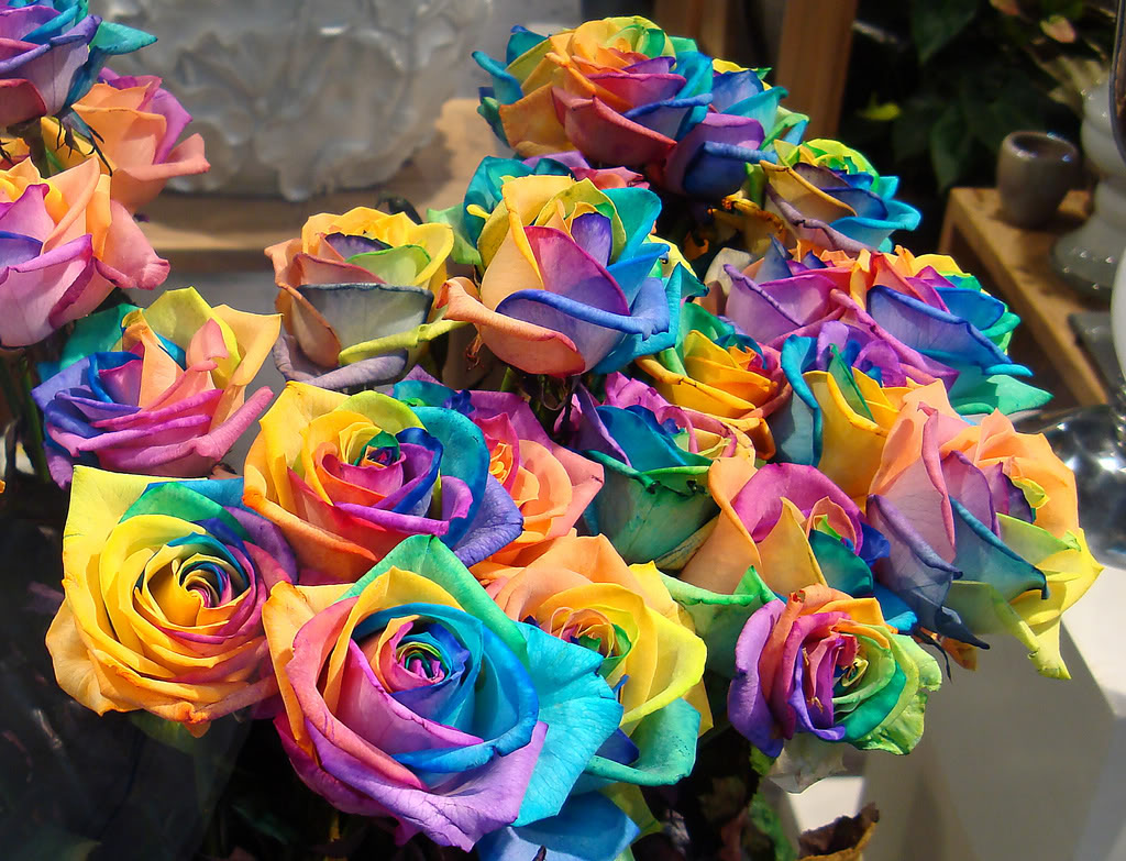 Flower News: How to Make Rainbow Roses