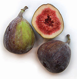 TheSoapCafe`: The Fig