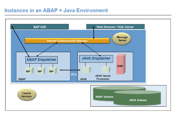 Basics of SAP BASIS