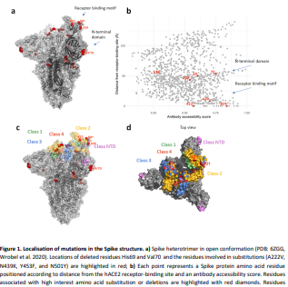Avian Flu Diary: GOG-UK Update and PHE Q&A On New COVID Variant