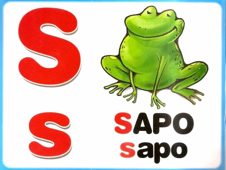 Burbuja de Lenguaje: Abecedario de Animales