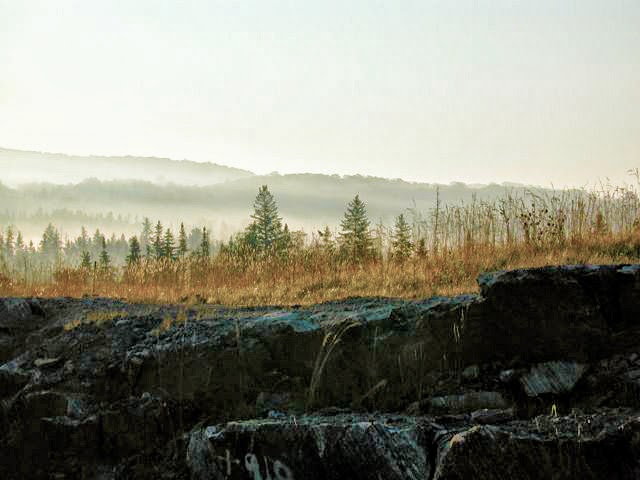 Fern Glen Inn - Seasons and Reasons: 2008