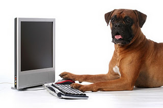 Funny Image Collection: Computer and Funny Computer Pics,Computer fun ...