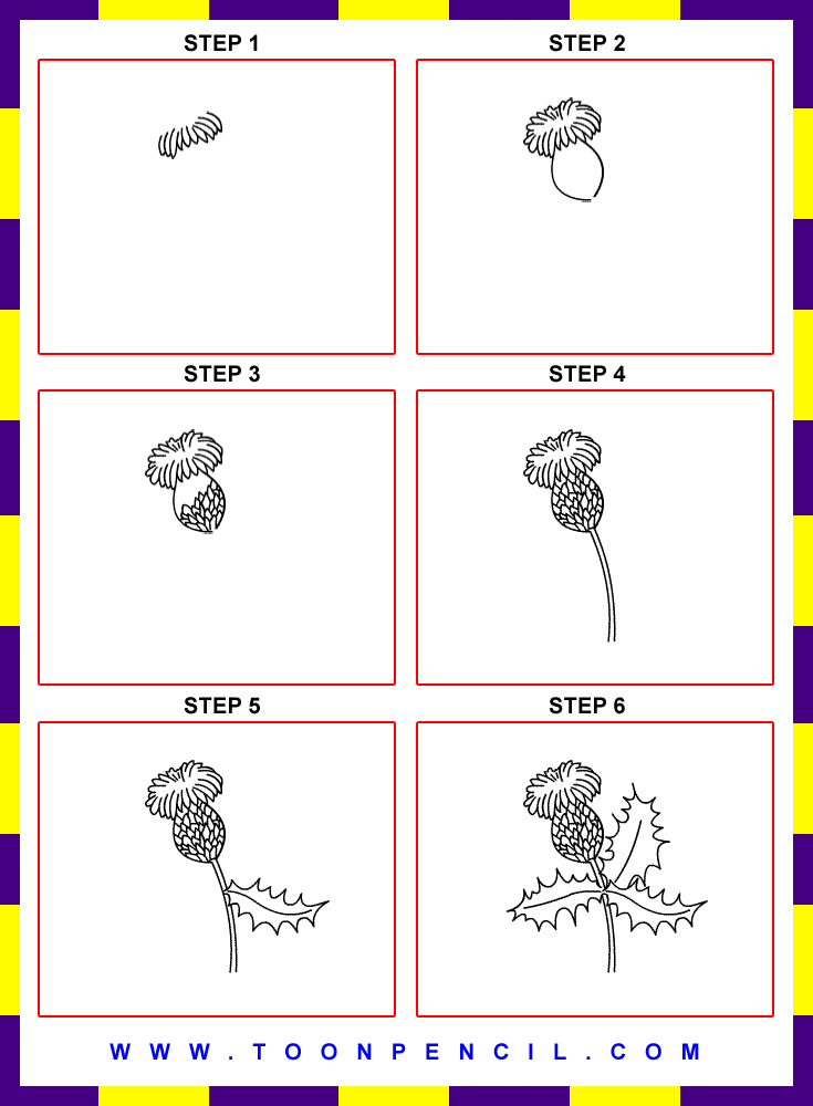 How to Draw a Thistle