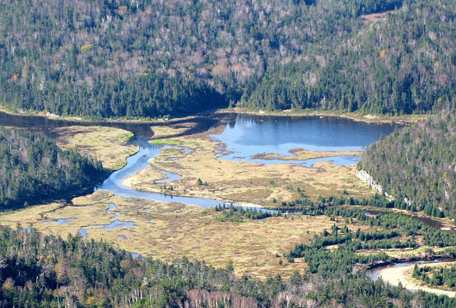 Views from the White Mountains of New Hampshire: Mount Colden (#43 ...